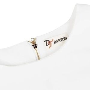 dantiya | Dresses | Dantiya Half Sleeve Elegant Back Zipper Aline Midi ...